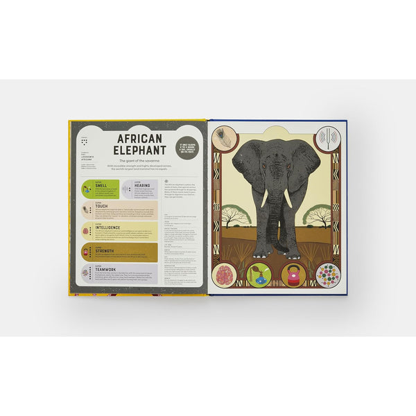 Superpowered Animals - Getty Museum Store