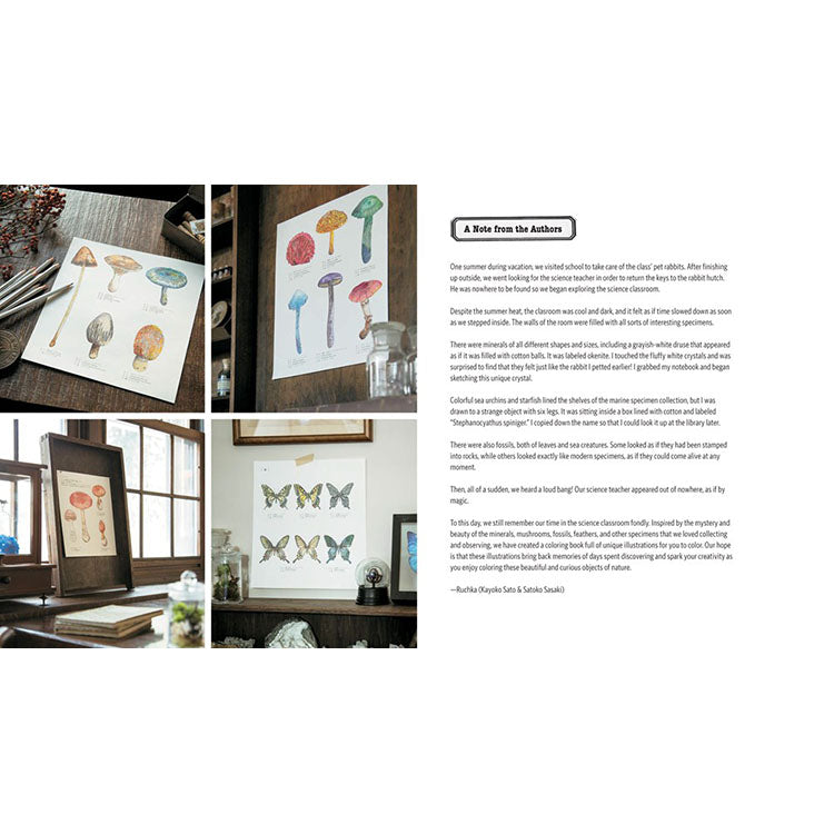 Art Techniques & Education - Getty Museum Store