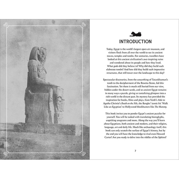 Riddle of the Sphinx: An Ancient Egyptian Puzzle Book - Getty Museum Store