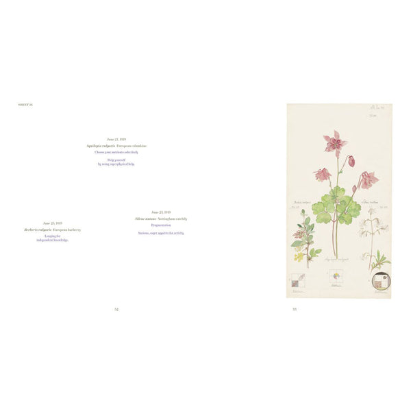 Hilma af Klint: What Stands Behind the Flowers - Getty Museum Store