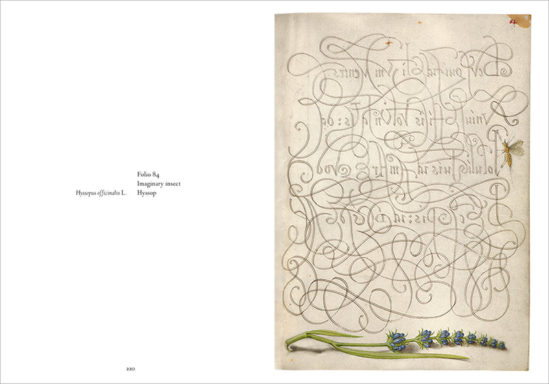 Mira Calligraphiae Monumenta - Getty Museum Store