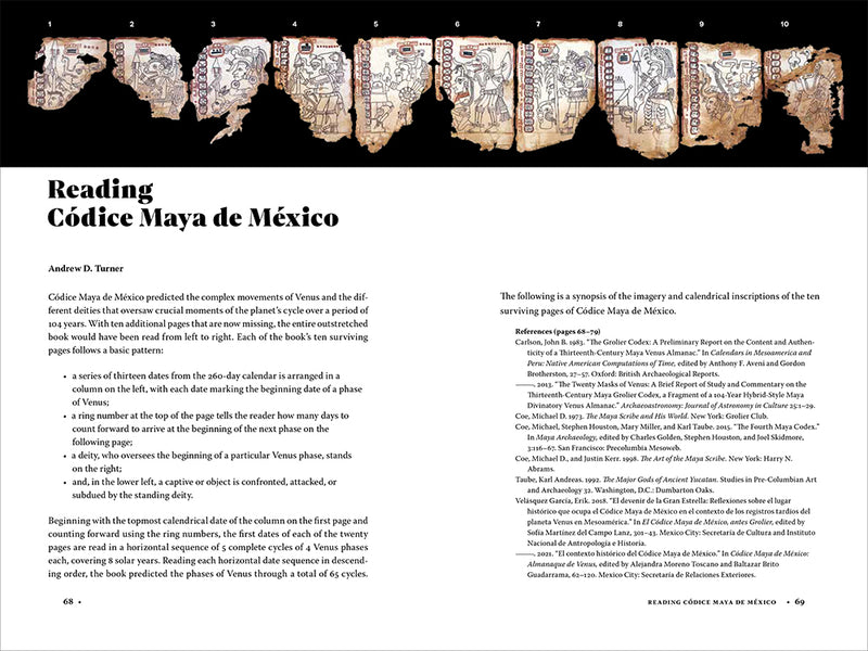 Códice Maya de México: Understanding the Oldest Surviving Book of the ...