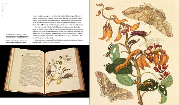 Maria Sibylla Merian: Artist, Scientist, Adventurer - Getty Museum Store