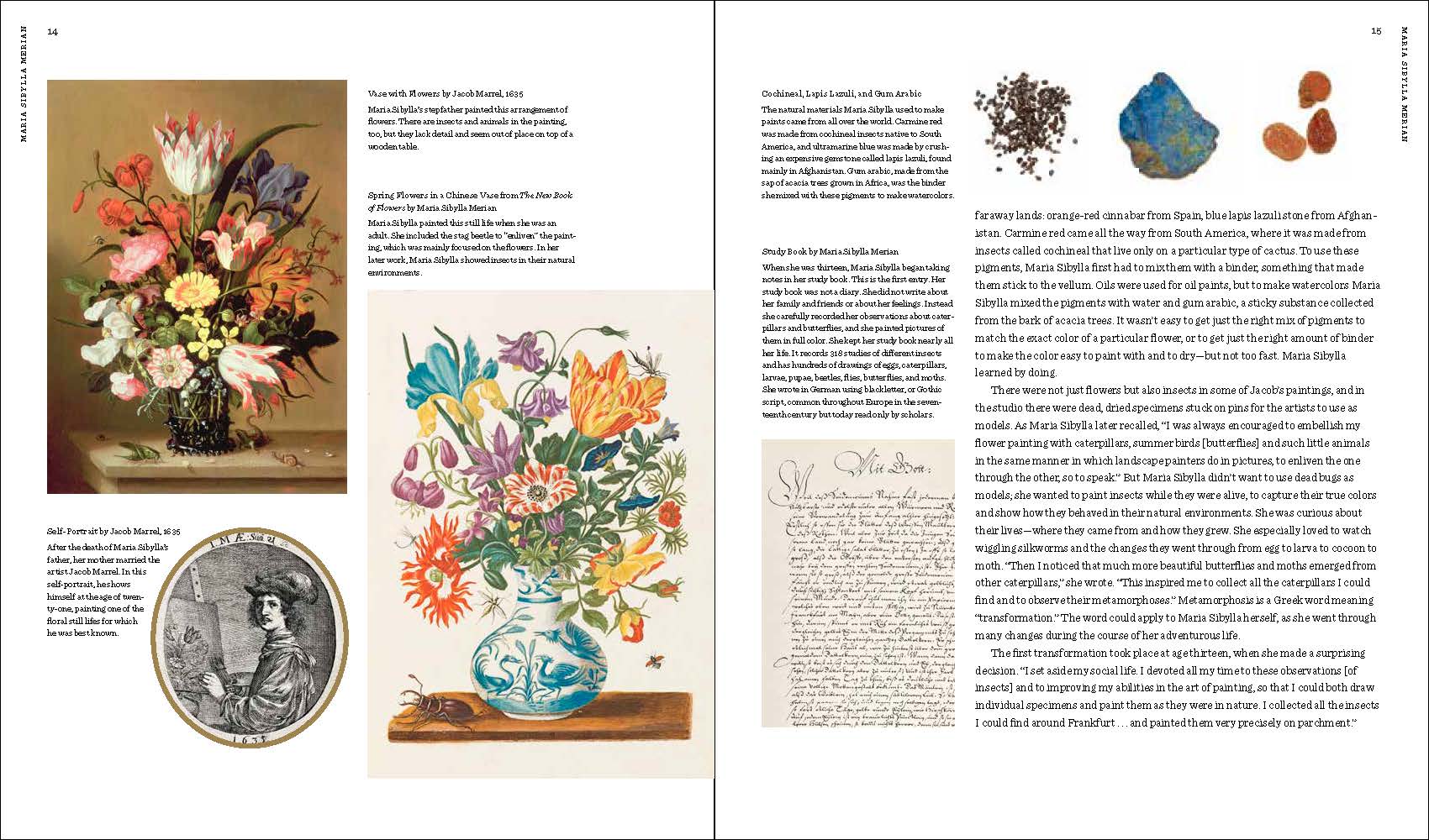 Maria Sibylla Merian: Artist, Scientist, Adventurer - Getty Museum Store