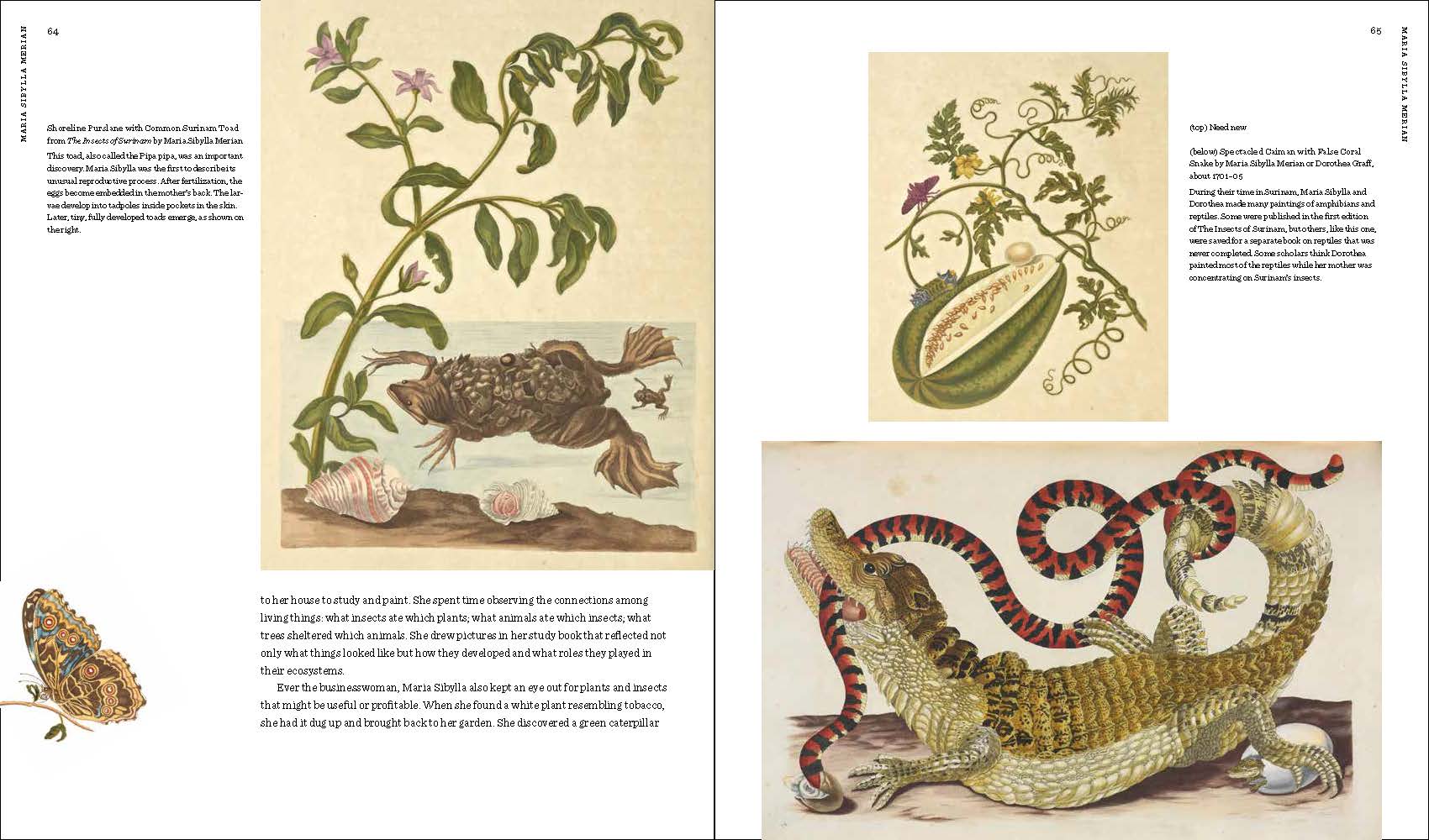 Maria Sibylla Merian: Artist, Scientist, Adventurer - Getty Museum Store