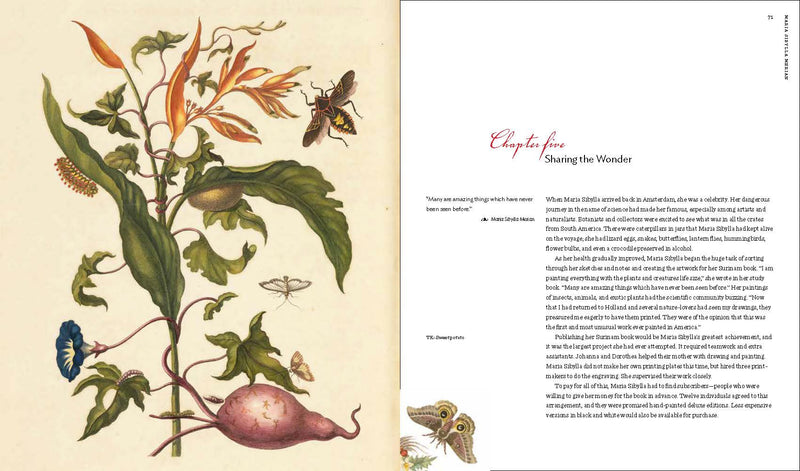 Maria Sibylla Merian: Artist, Scientist, Adventurer - Getty Museum Store